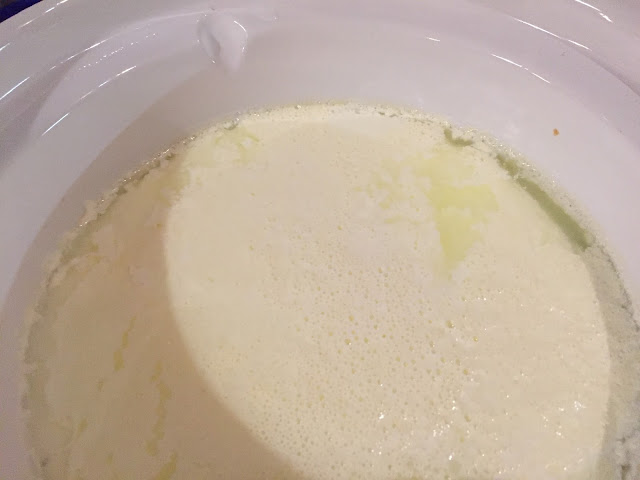 Sister Spoon: Homemade Thick & Creamy Greek Yogurt