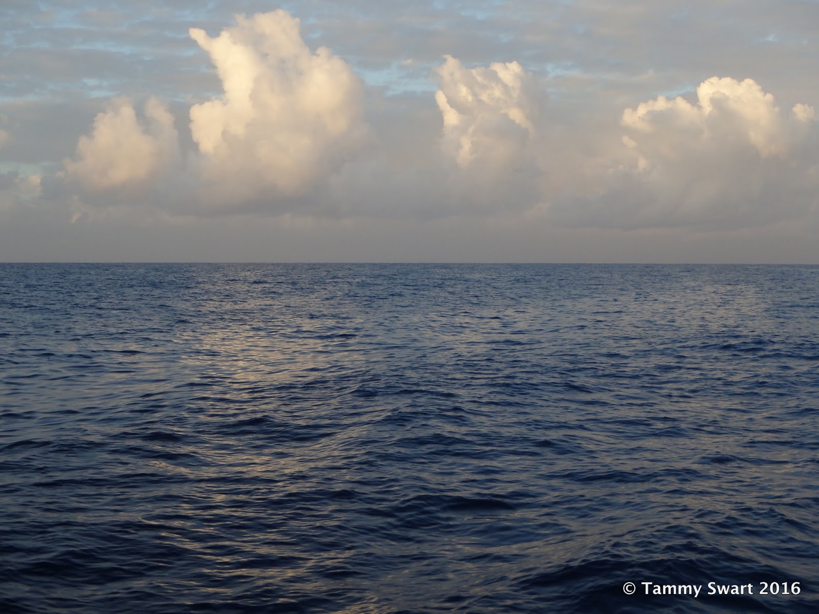 Things we did today...: Never Be Too Presumptuous With The Ocean