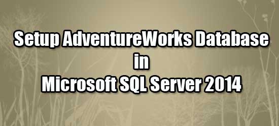 Setup AdventureWorks Database in Microsoft SQL Server 2014 ~ IT ...