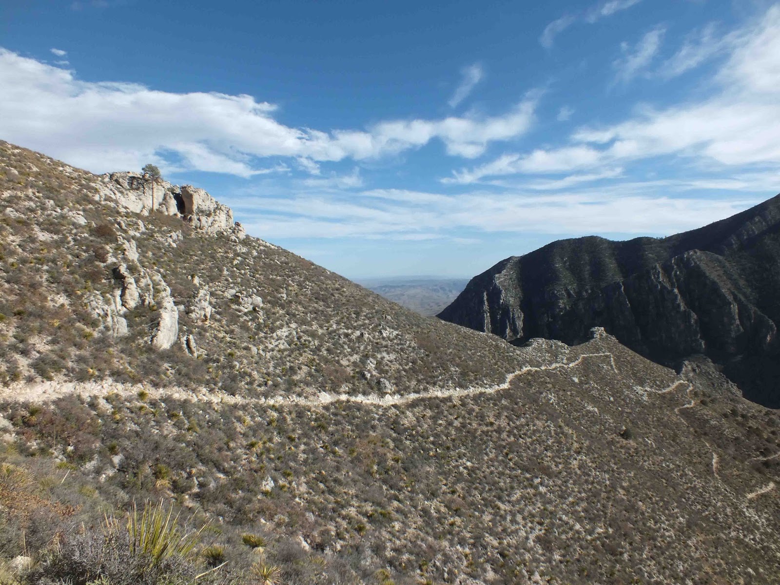 Texas Mountain Trail Daily Photo: Adventures in the Guadalupes - Bush ...