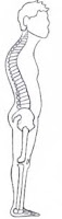 Fitness Grace Blog: Kypholordotic Posture