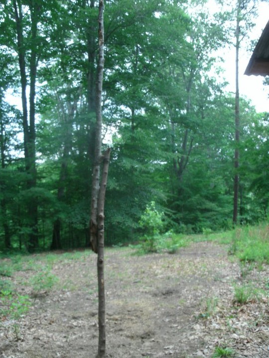 Tiers of 10: Pioneering Tip #5