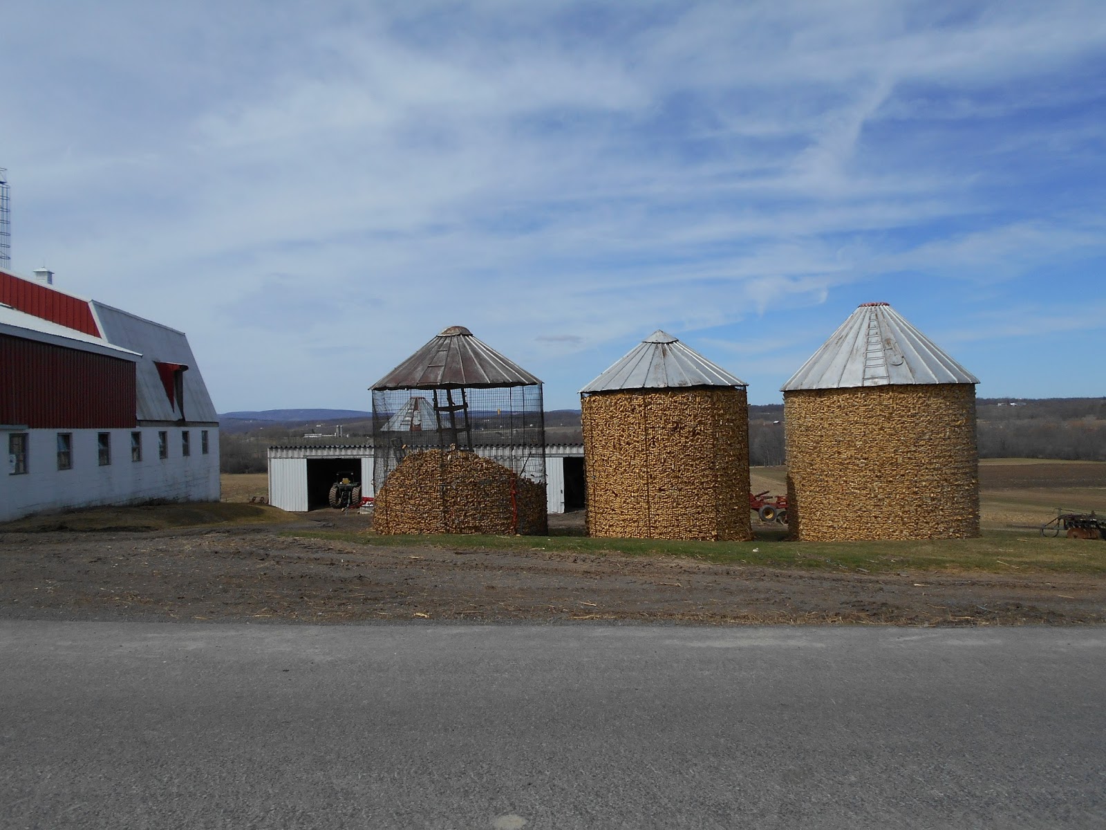 New York State of Mind: OLD ORDER MENNONITE FARM
