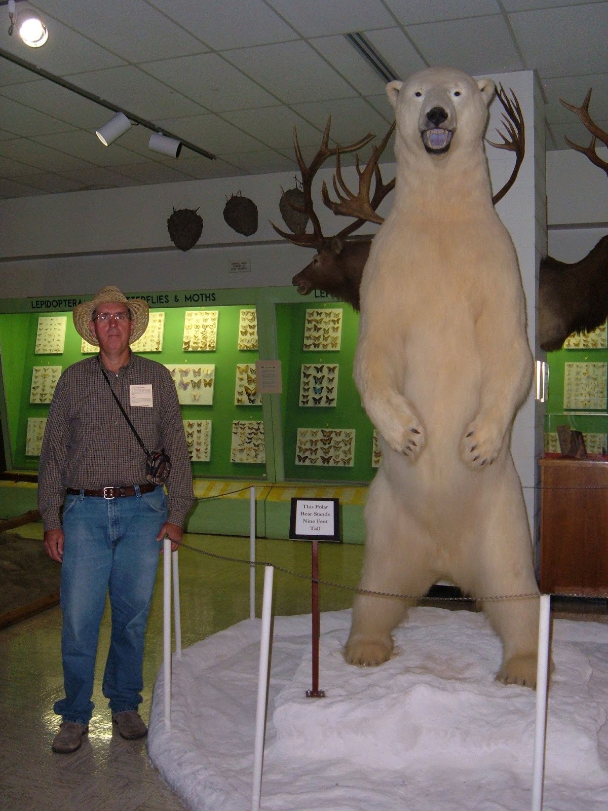 BigSurveyor: Ralph Foster Museum