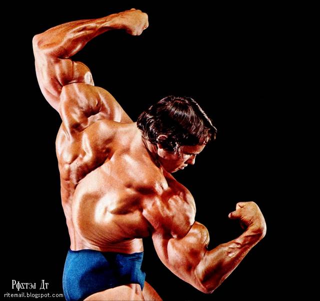 Top 10 Bodybuilders in The World ~ High Definition Wallpapers|Cool ...
