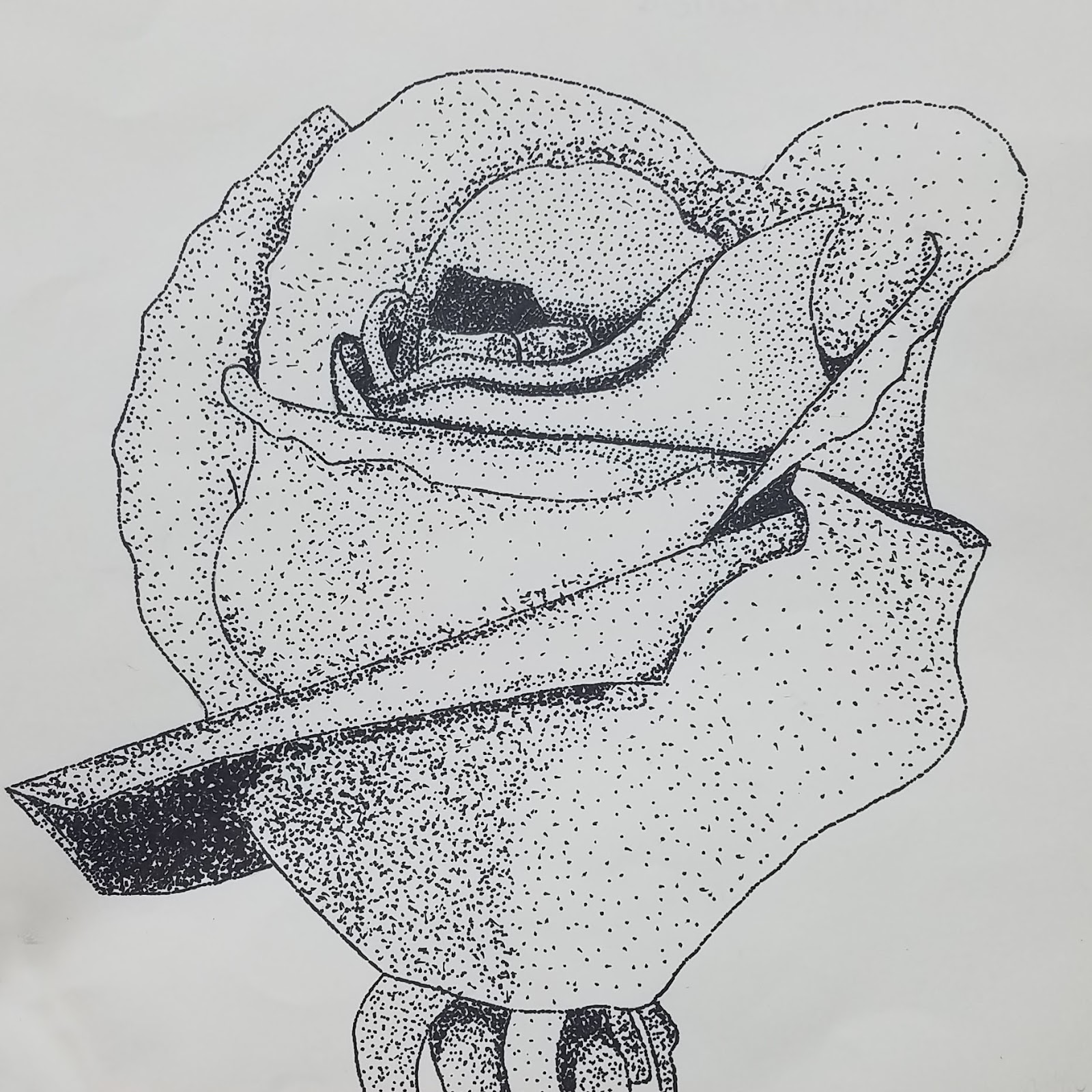 Jerdee's Art Classes: Drawing A | Stipple / Hatch / Cross Hatch