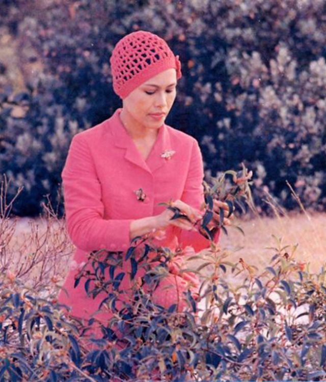 Queen Sirikit in Younger Days: 40 Beautiful Color Photographs of the ...