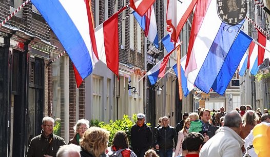 OLALEKAN ODUNTAN: Ethnic Groups In The Netherlands