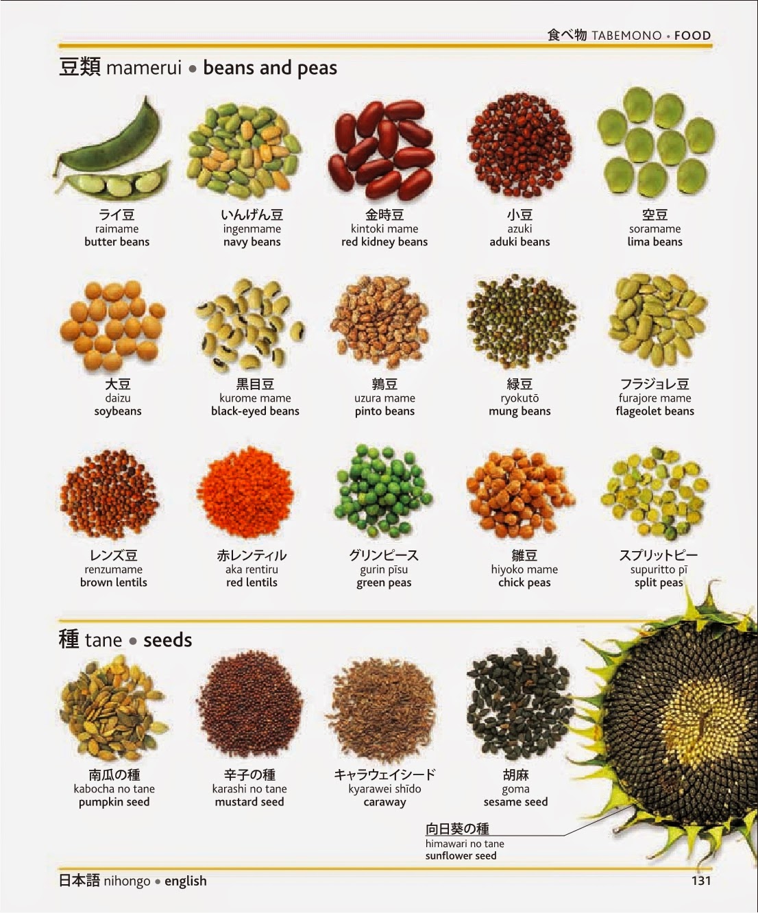 食べ物 tabemono Food - Japanese For Beginners