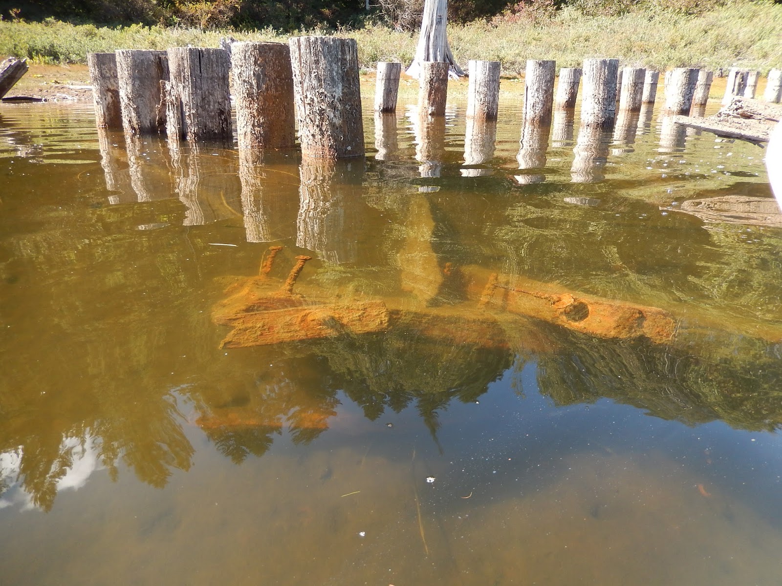 Powell River Books Blog: Railroad Logging Trestle on Nanton Lake, BC
