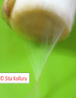 Sita's Ruchulu: Arati doota/davva pacchadi (Banana stem chutney)