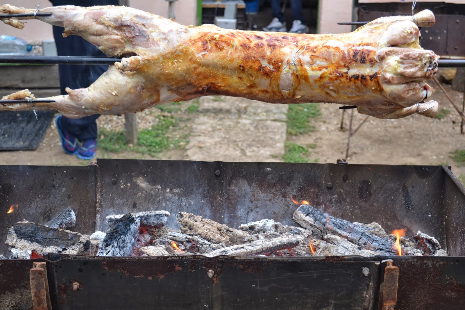 Myra's kitchen: Miel la protap 2013