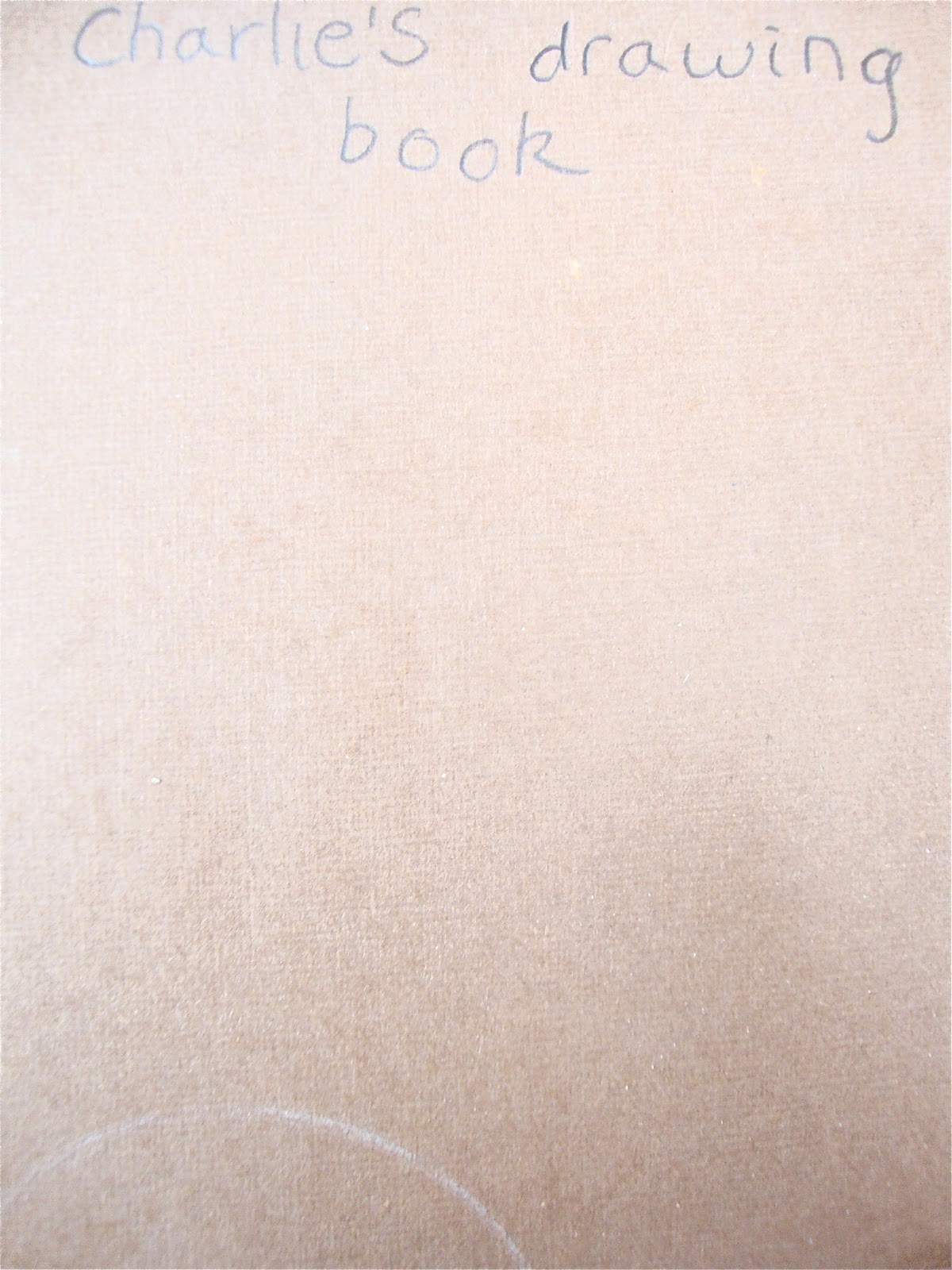 a year in charlie's pocket