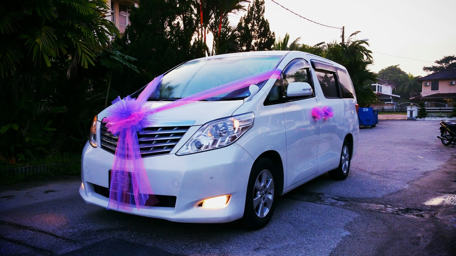 RedOrca Malaysia Wedding and Event Car Rental: Toyota Alphard with pink ...