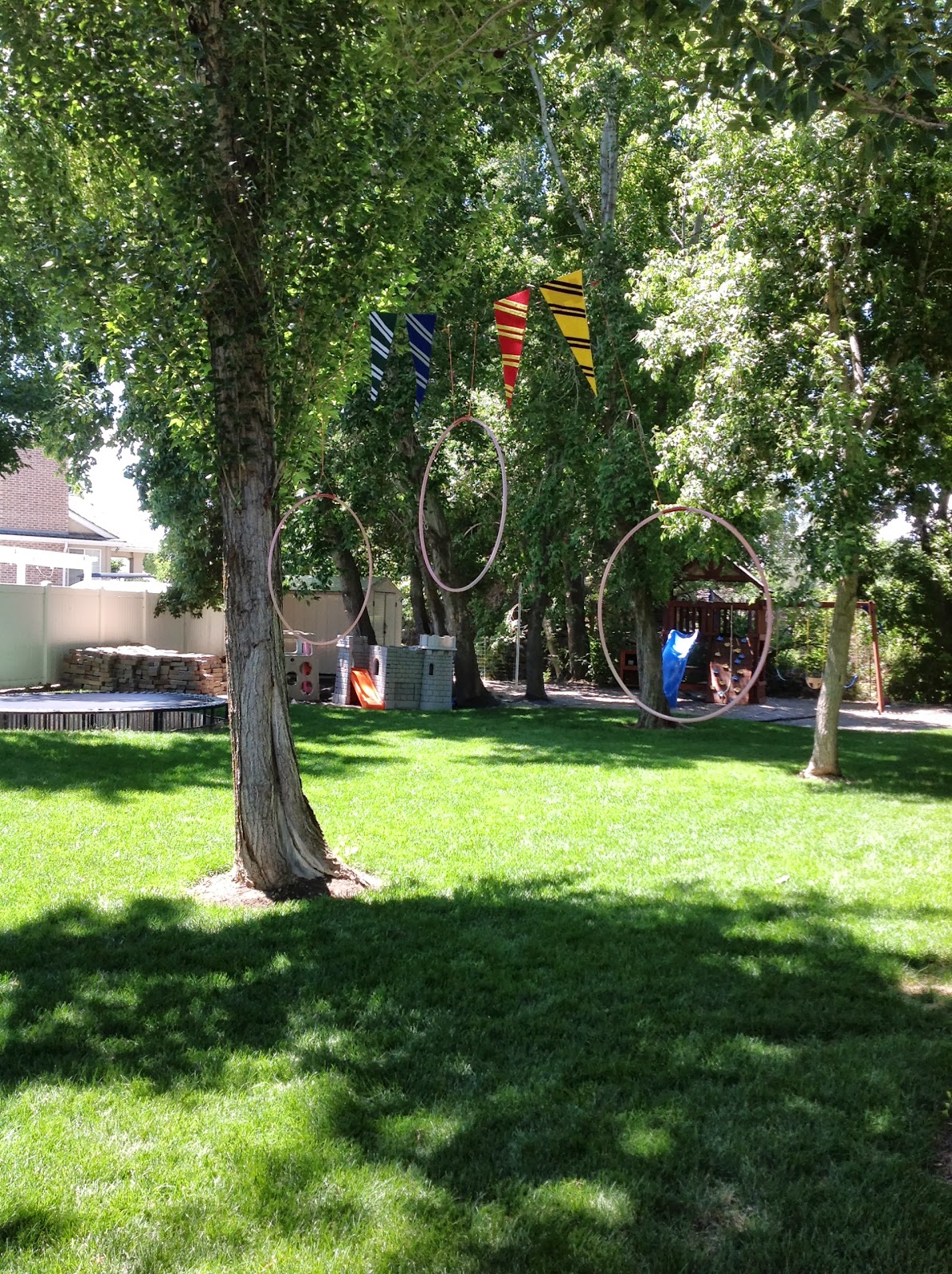 Puddle Wonderful Learning: Harry Potter Party: Quidditch Game