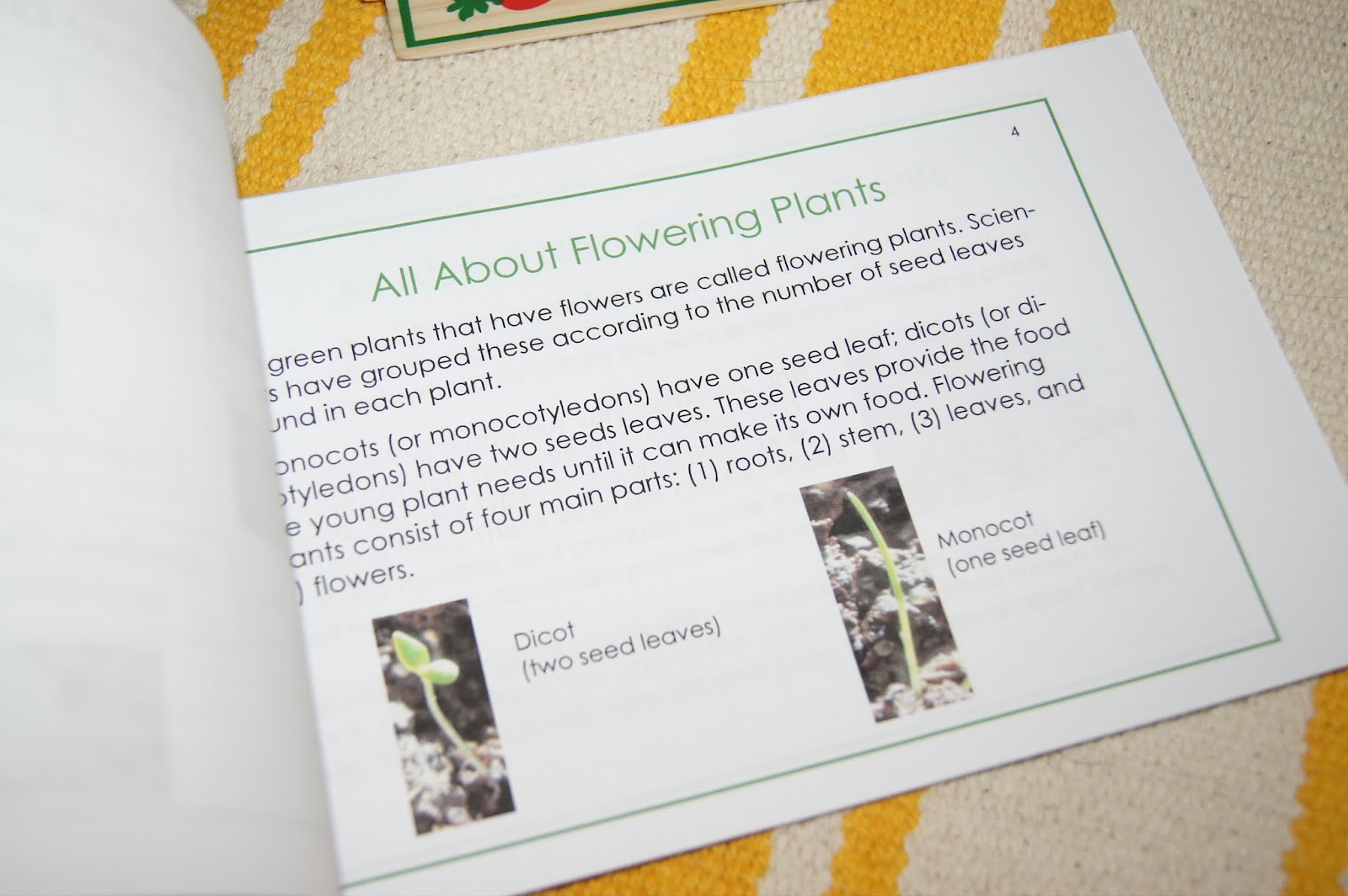 "Making Montessori Ours": Botany 1 - Montessori Botany Puzzle Cabinet Work