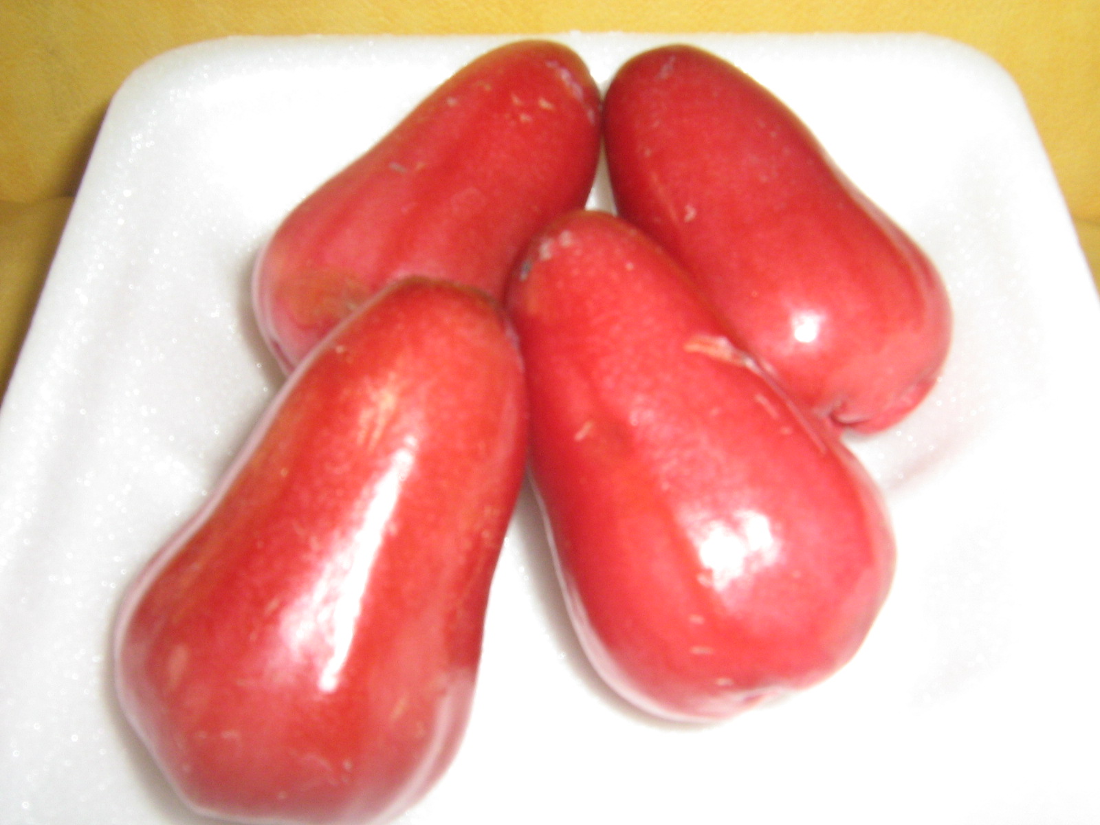 Bibit Buah Bunton Malang: Macam - macam Jambu Air