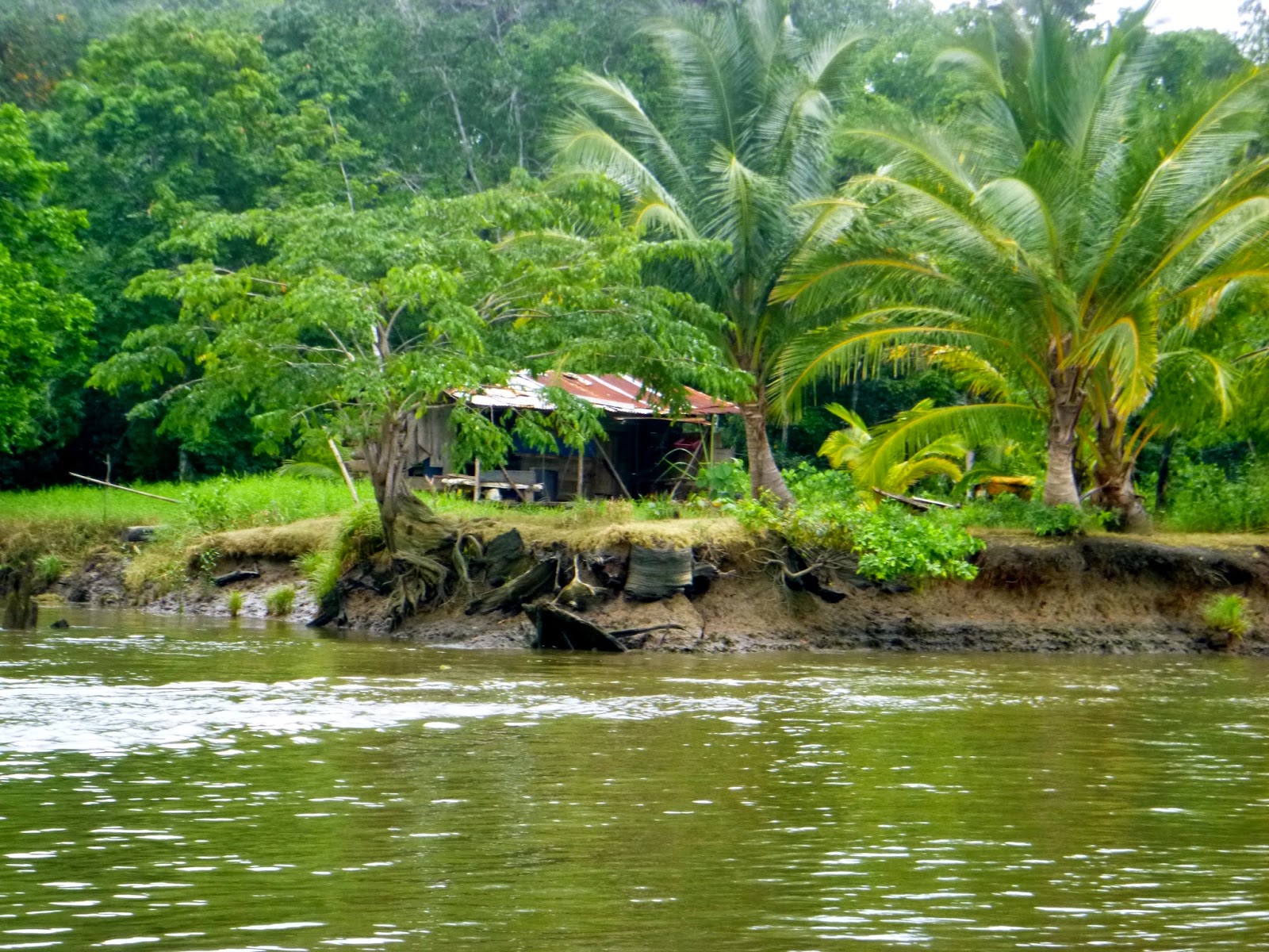 Stoney Family Panama Adventure: A TRIP TO PANAMA CITY - FISHING BAYANO ...