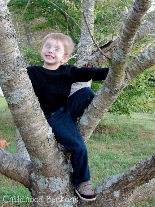 Childhood Beckons: The Benefits of Climbing Trees
