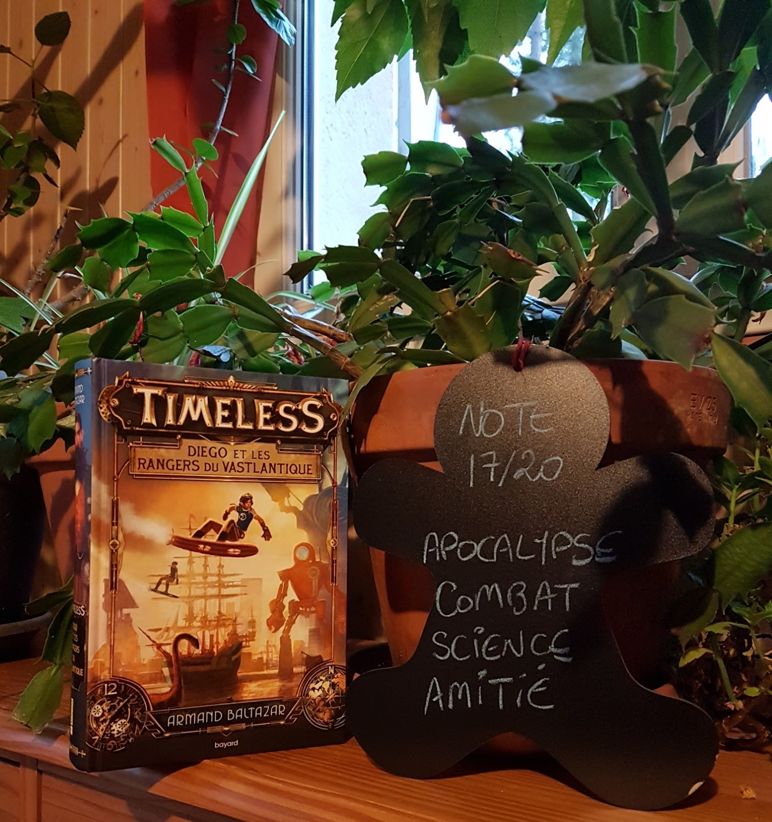 Les lectures de Mylène: Timeless, tome 1 : Diego et les Rangers du ...