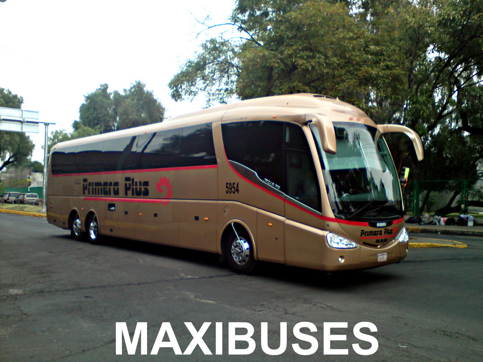 MAXIBUSES: PRIMERA PLUS - NUEVAS UNIDADES