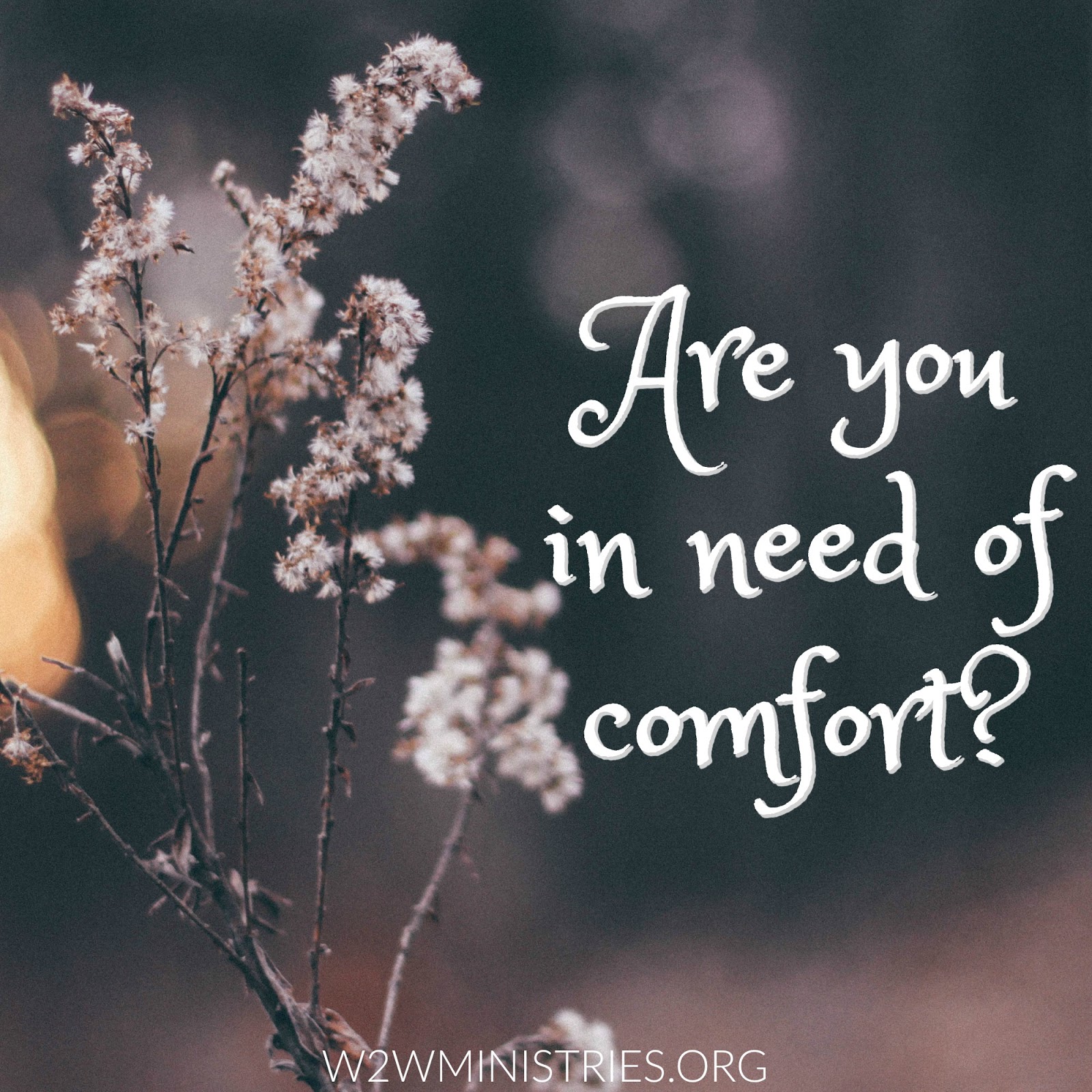 Woman to Woman: Are you in need of comfort?