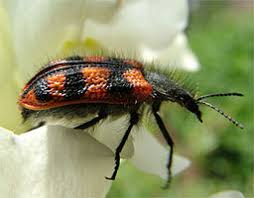 Simplemente compartiendo temas...: 2018