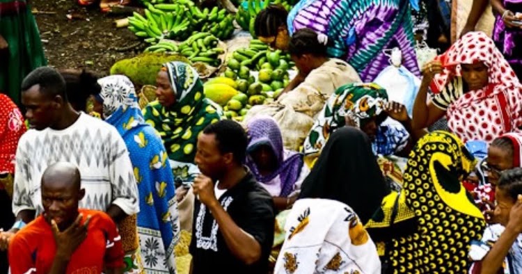 Adhésion des Comores à la SADC: quel enjeu pour le pays ...