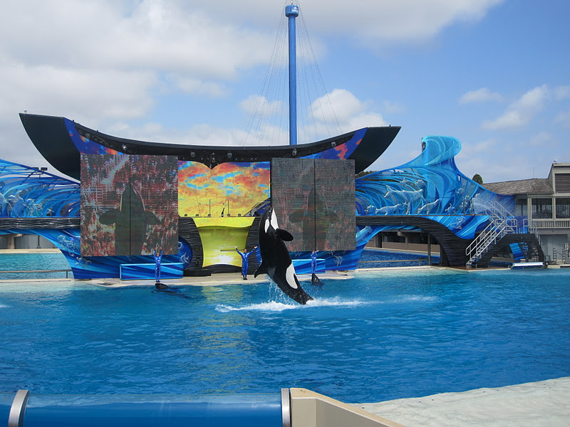Une Française à San Francisco: San Diego part II : SeaWorld