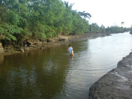 Explore the Small Town of Calauag, Quezon Province