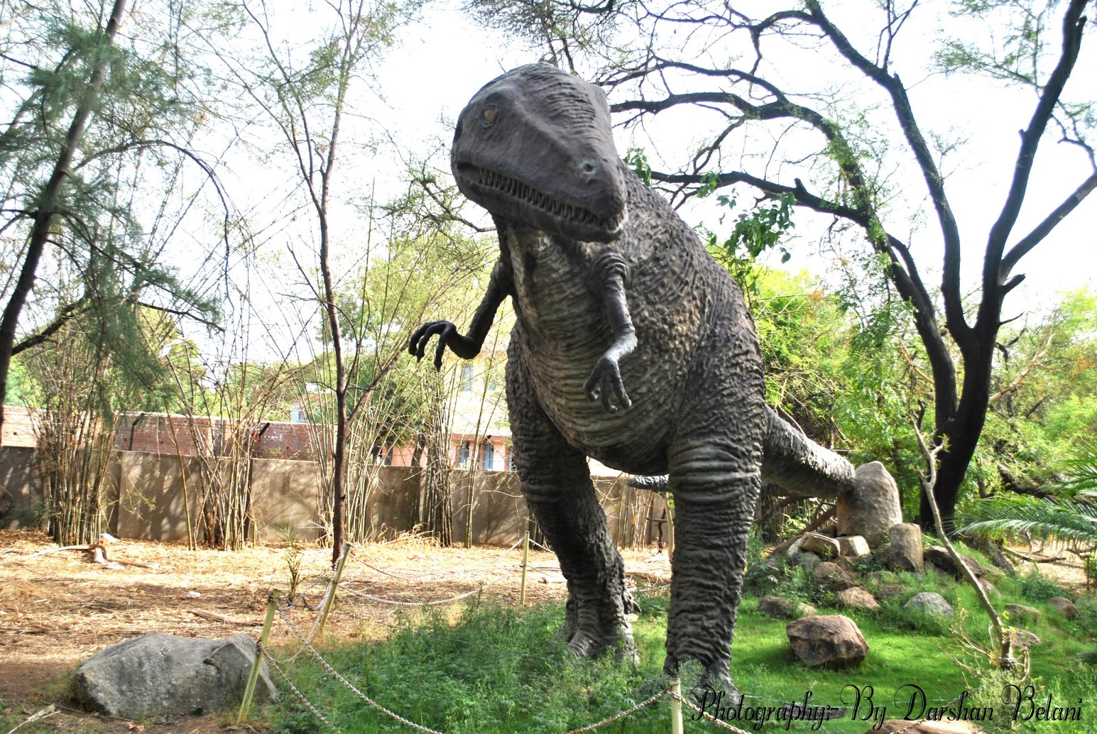 Darshan Photogallery: Dinosaur Parka in Indroda Park -Gandhinagar