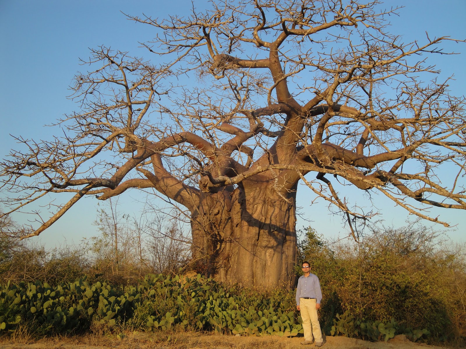 Lobito - Benguela - Angola: ==> *** Município do Chongoroi - Terra dos ...