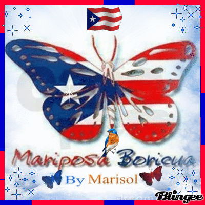 Puerto Rico, Isla Bella !!!: Guabairo