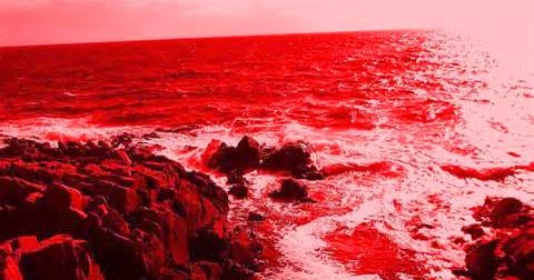 Book of Revelation: Revelation 16:3