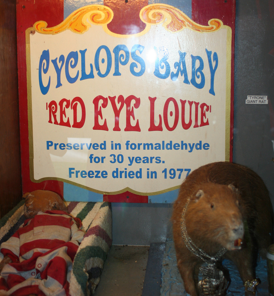 The Carpetbagger: The Modern Day Freak Show