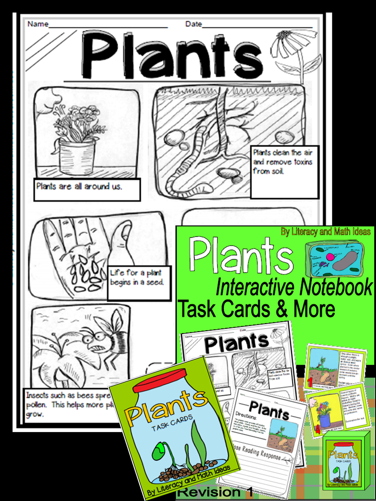 Literacy & Math Ideas: Plants Interactive Notebook