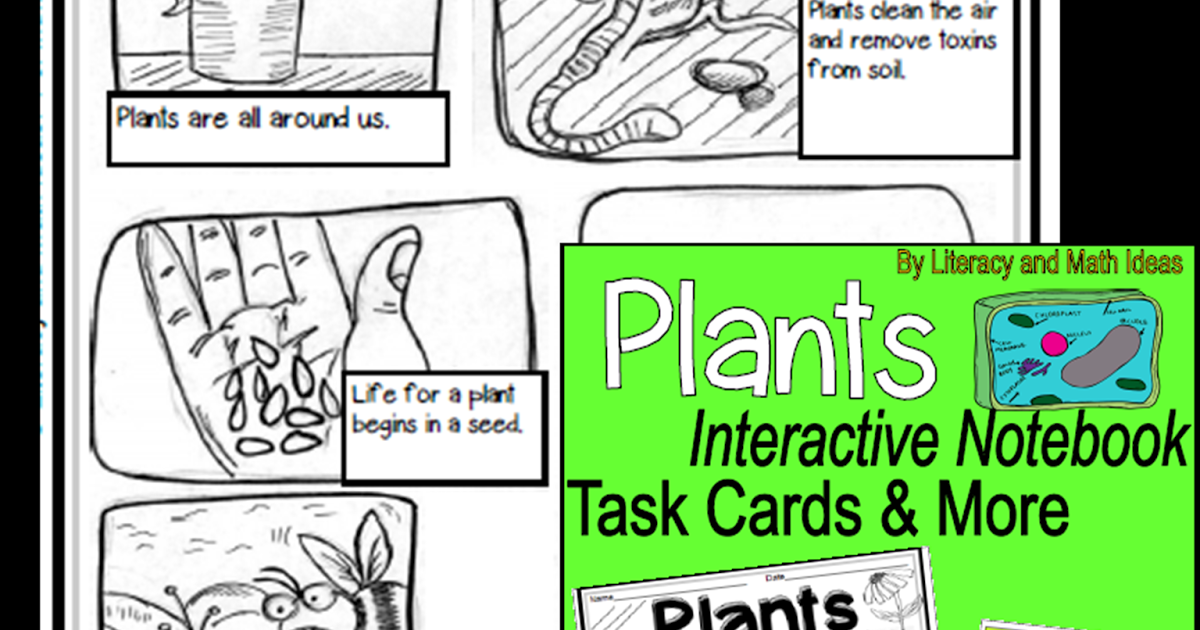 Literacy & Math Ideas: Plants Interactive Notebook
