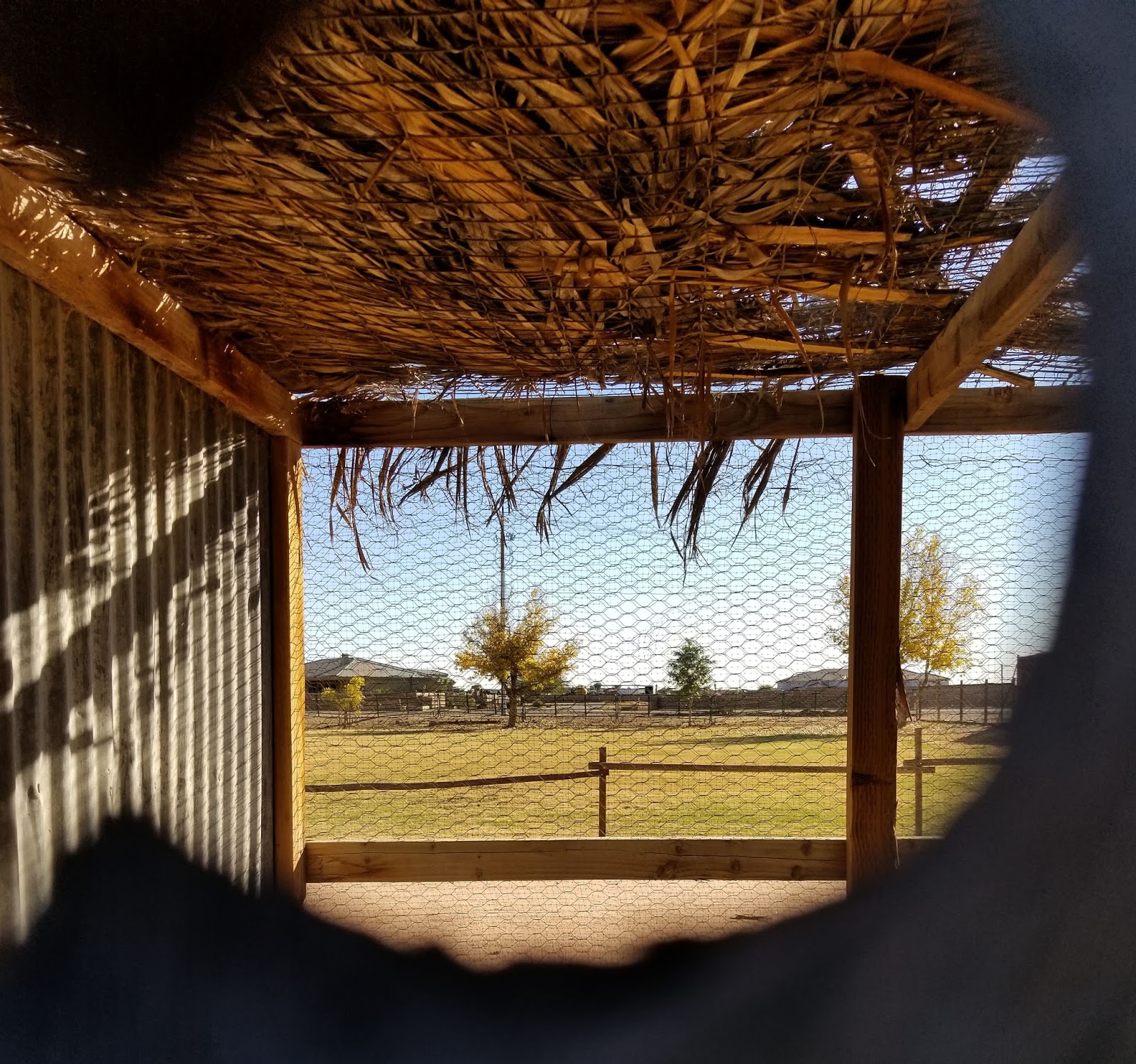 Tumbleweed Park Ranch