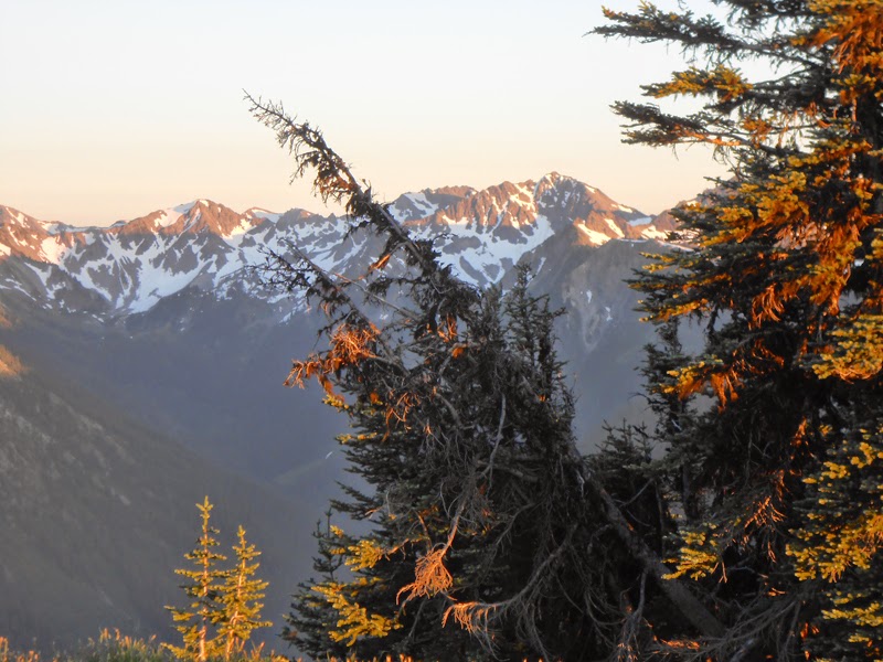 Val-Di-Ree: Obstruction Point to Dosewallips River, July 23-26, 2013