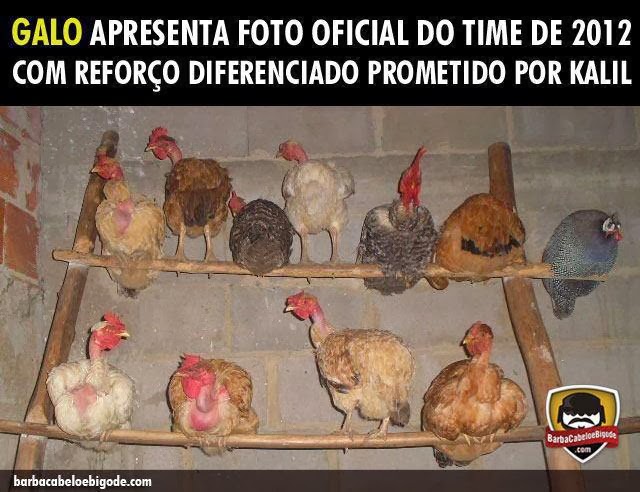 Reforços Do Gaylo | Antigalo Oficial