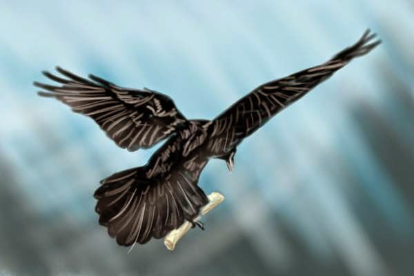 Man, Myth and Magic: Creation Mythology: Native America - California