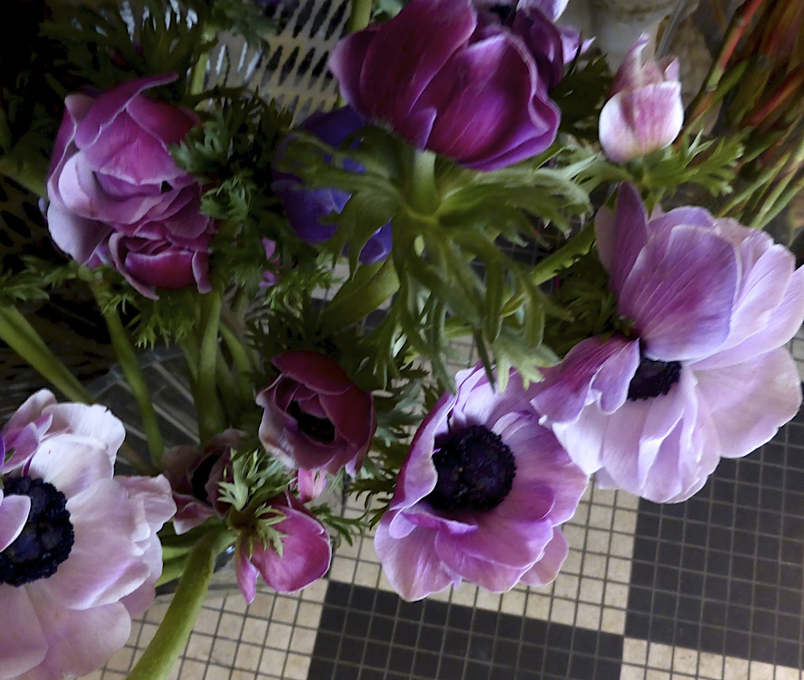 manon 21: Paris et ses Fleurs