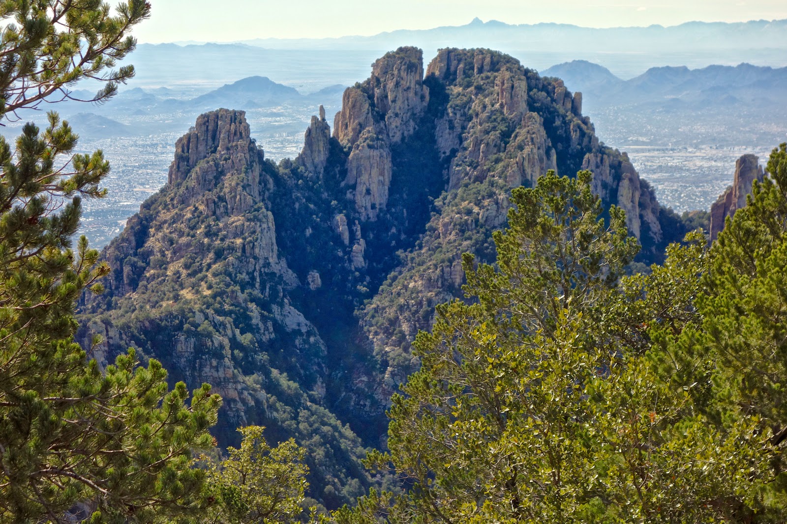 Earthline: The American West: Finger Rock Guard, 6,475', Pusch Ridge ...