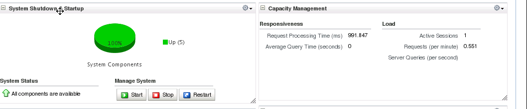Oracle Fusion Applications: Loading RPD File in Fusion Applications
