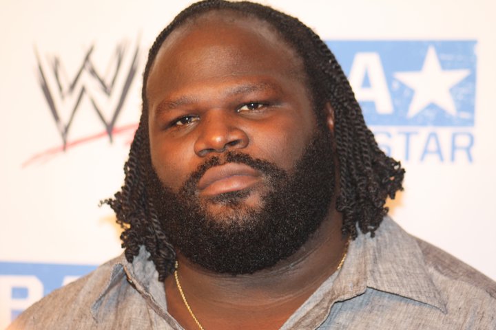 WORLD WRESTLING ENTERTAINMENT: Mark henry wwe
