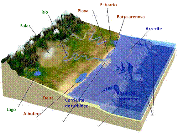 Ambiente Sedimentario Transicional