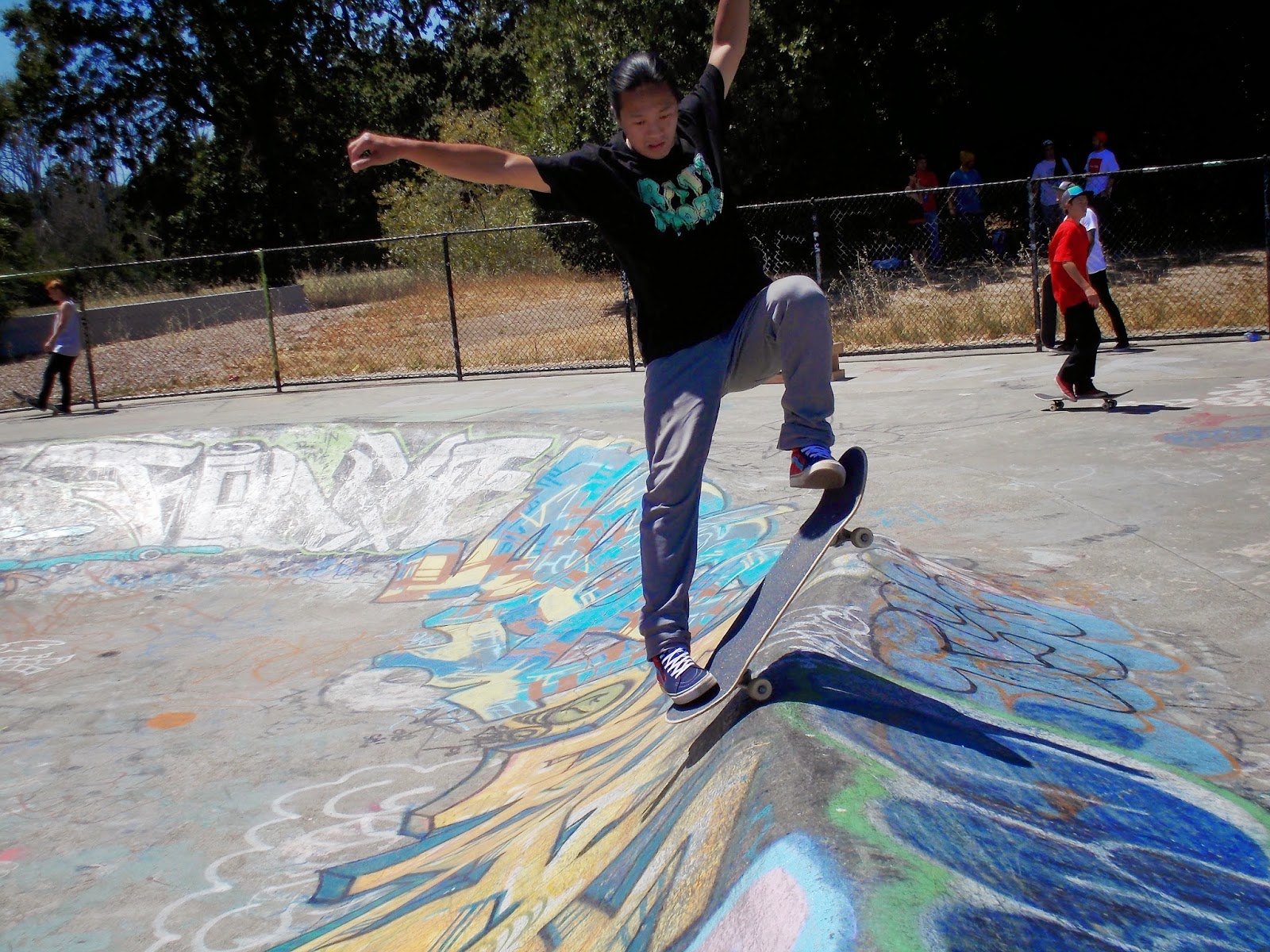 the chalker chronicles: THE SANTA ROSA SKATEPARK TURNS 20.