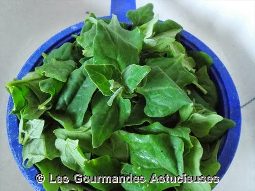 Tétragone au tofu et au riz rouge