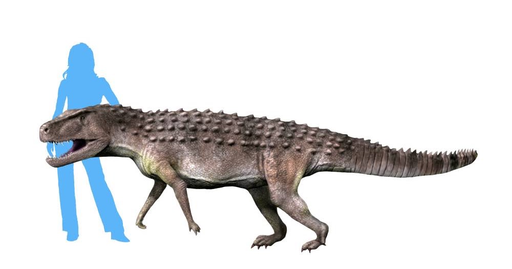 Spinops: Postosuchus kirkpatricki