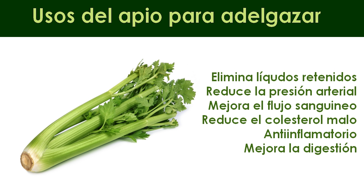 Baja de peso Ya MX: Como consumir apio para adelgazar